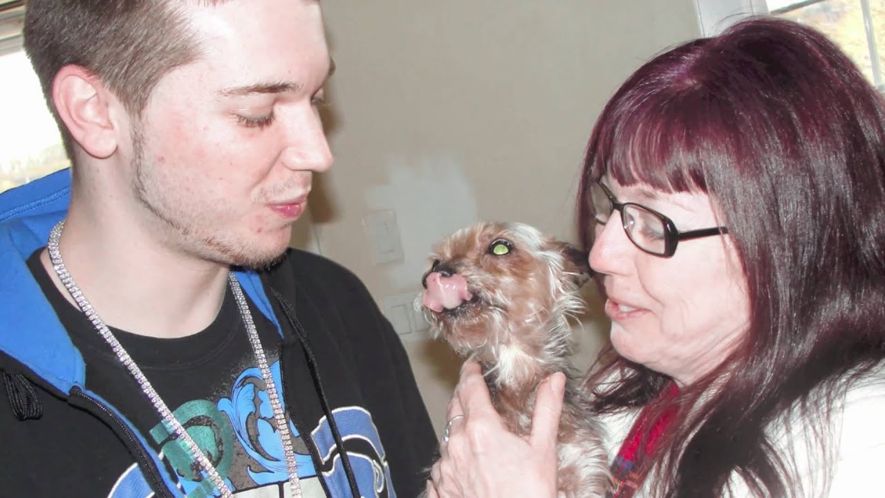 Lost Dog finds his way home -- www.Yorkie911Rescue.com - YouTube