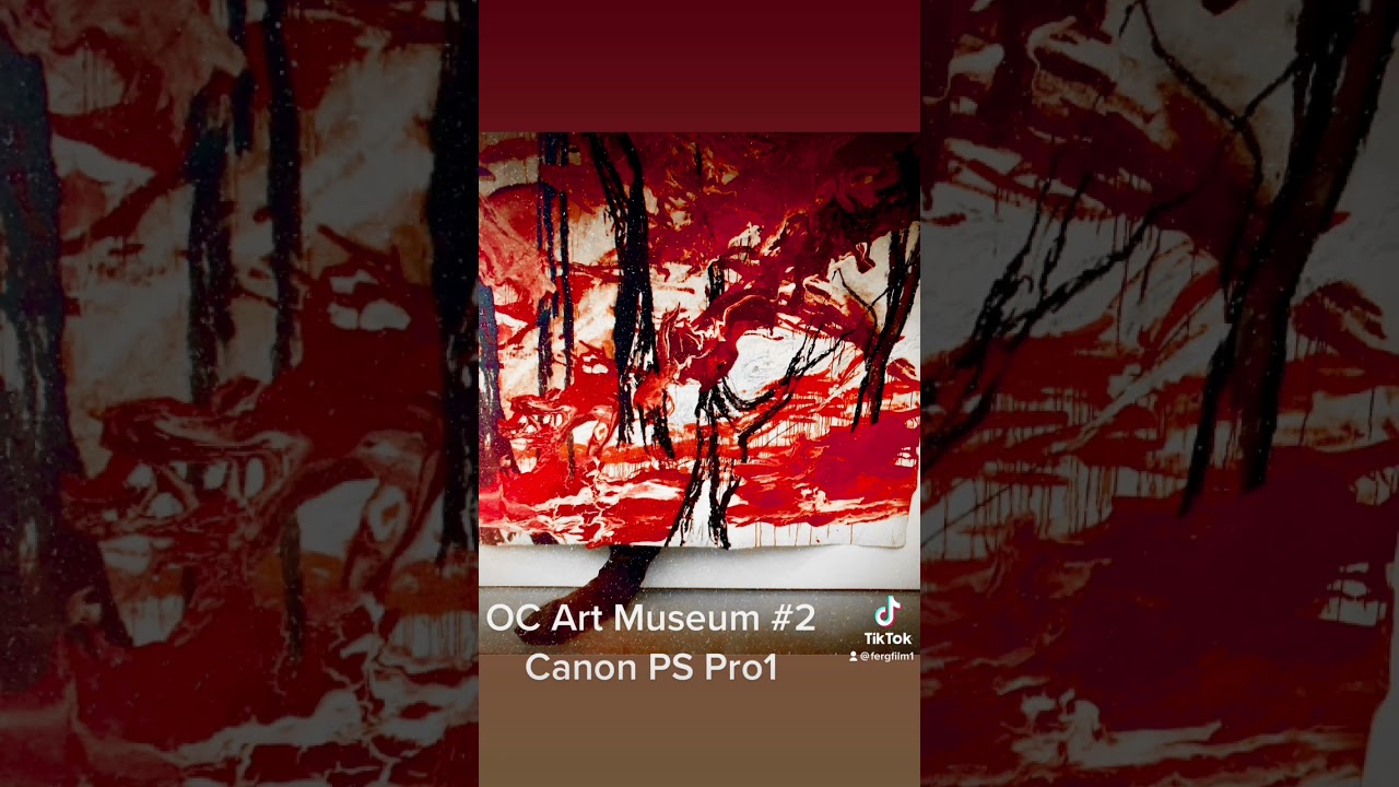 OC Art Museum 1 Canon Powershot Pro1 Digicam #fergfilm1 #influencer #canonpowershot