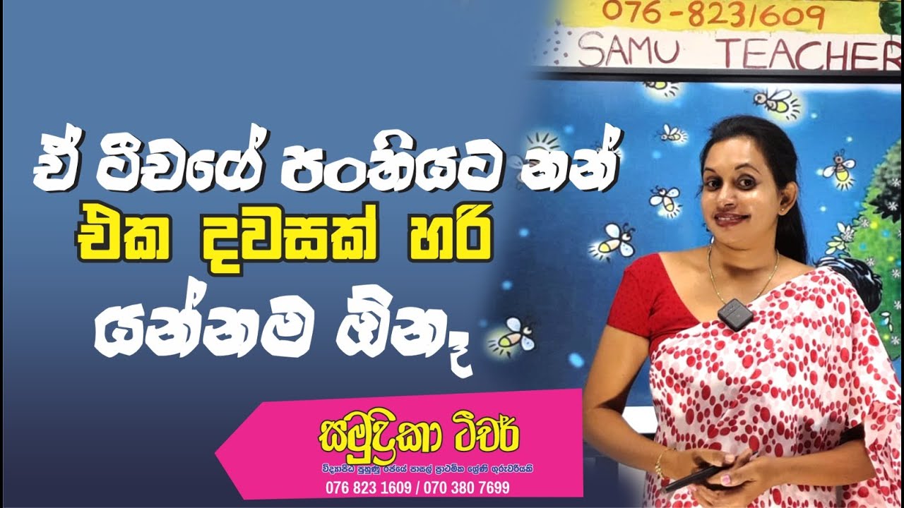 Grade 3 Sinhala - Lesson 2 Tharu Kata samu teacher | grade 1| grade 2 ...