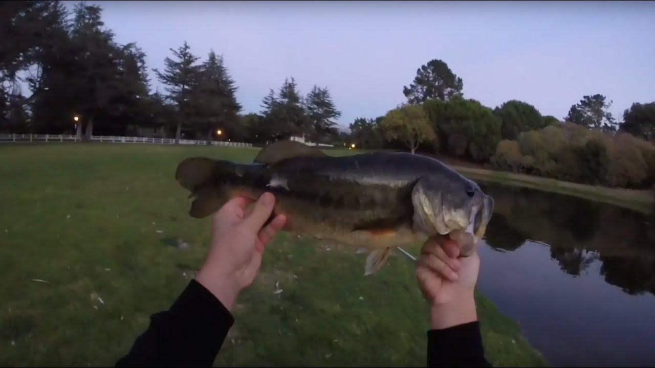 Sunset Bass Fishing - YouTube