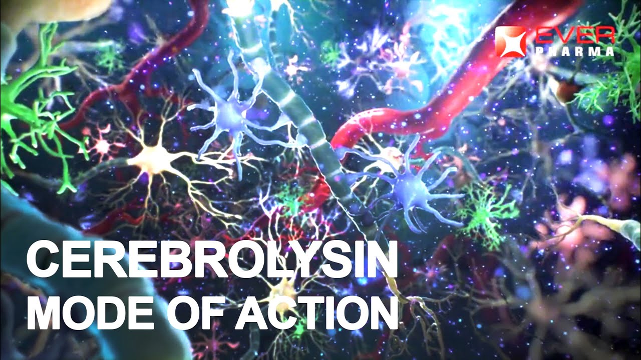 Cerebrolysin Peptite Mode of Action - Research Explained - YouTube