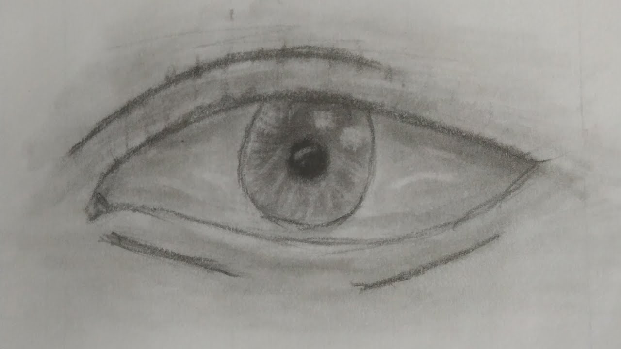 How to draw an eye/eyes easy step by step for beginners eye drawing ...
