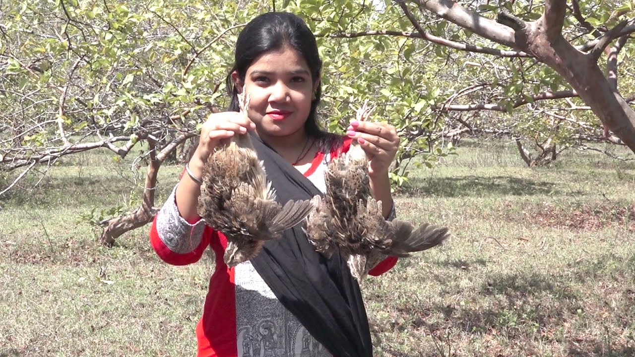 Village Style Kouju Pitta (Angry Bird) Fry | cooked by Priyanka ...