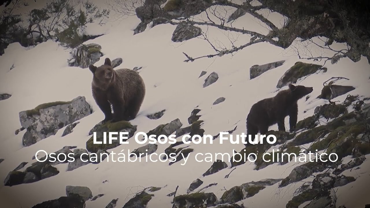 Social Networks - Fundación Biodiversidad
