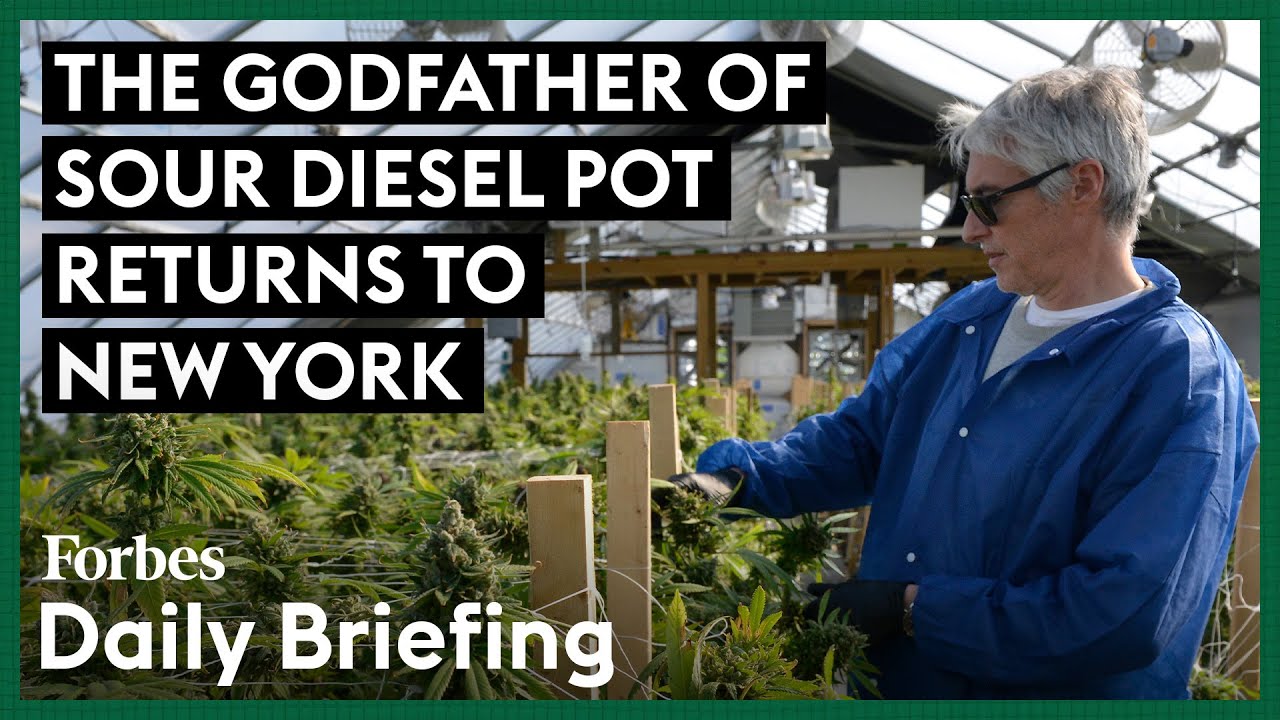 The Godfather Of Sour Diesel Pot Returns To New York - YouTube