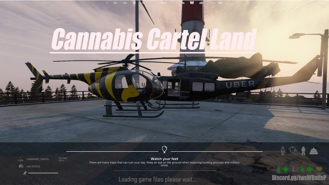 DayZ Servers Cannabis Cartel Land Live Stream - YouTube