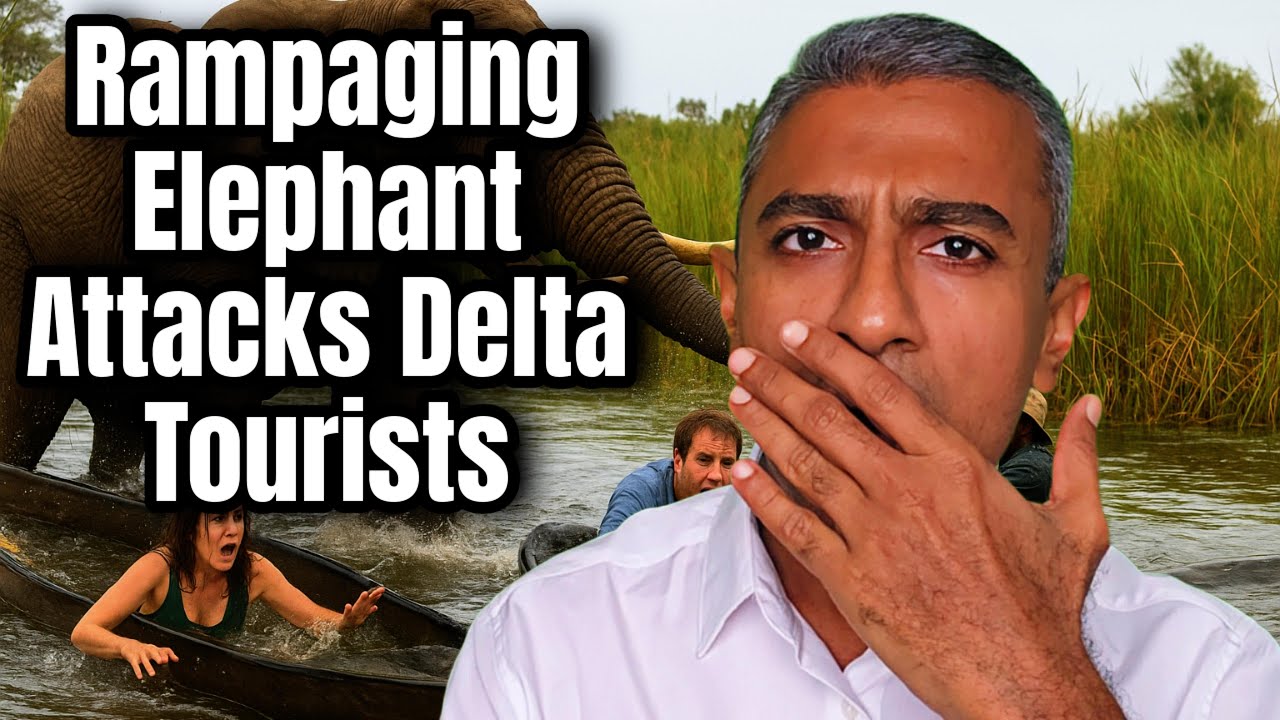 Rampaging Elephant Flips Safari Canoes and Attacks Brit & US Tourists ...