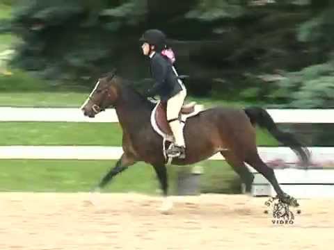 Emma Lackey & La Jolla - Spring Spectacular III Jun 2015 - YouTube