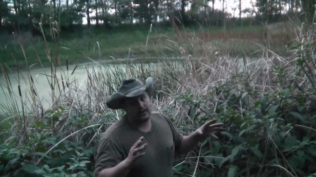 TGO Traditional Archery Cat Tail Blind Set up! - YouTube