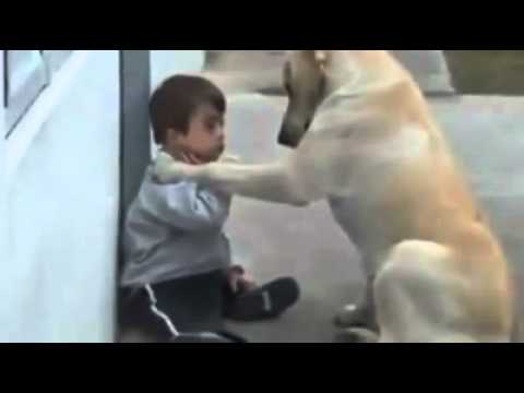 Down Sendromlu Çocuğu Eğlendirmeye Çalışan Köpek