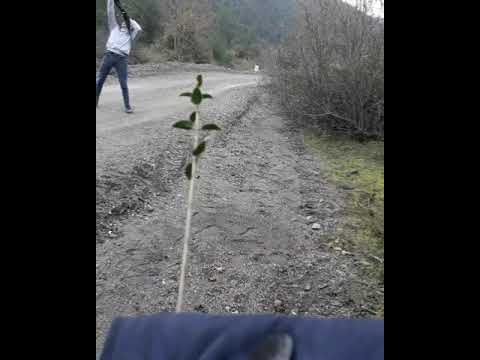 Muammer akkaya magnum ile ters atış (eğer bir işi severek yapıyorsanız başarısız olmanız imkansızdır