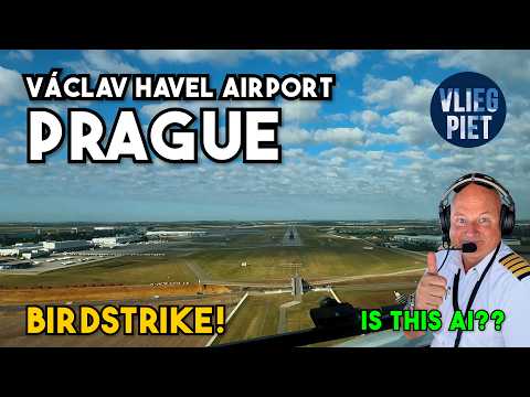 Bird Strike on Final! | Boeing 737 Landing in Prague