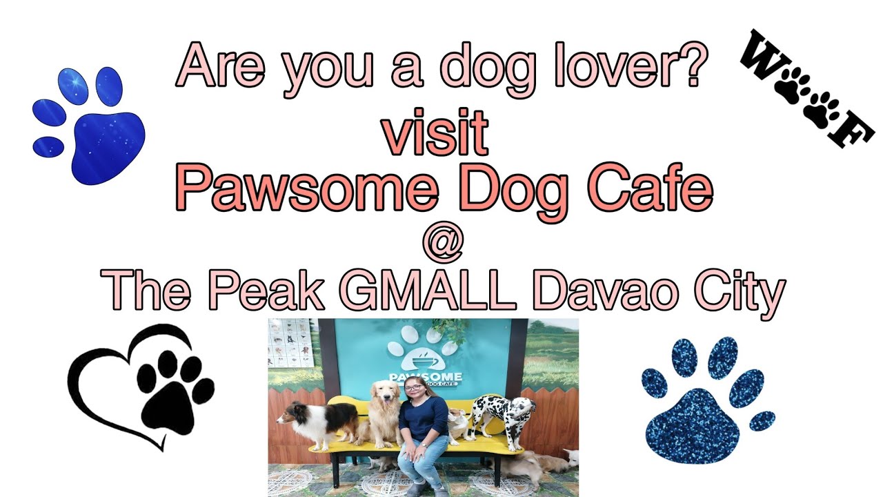 Pawsome Dog Cafe @ The Peak GMALL Davao City - YouTube
