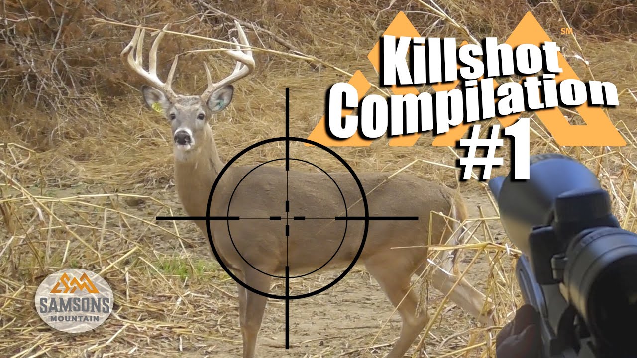 Killshot Compilation 1 - YouTube
