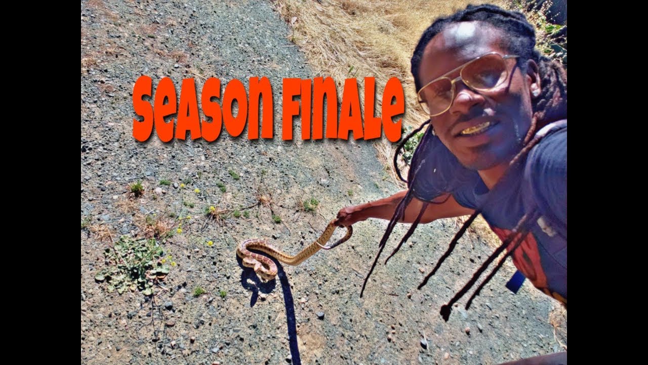 Trap Nature ( Spring season finale) - YouTube