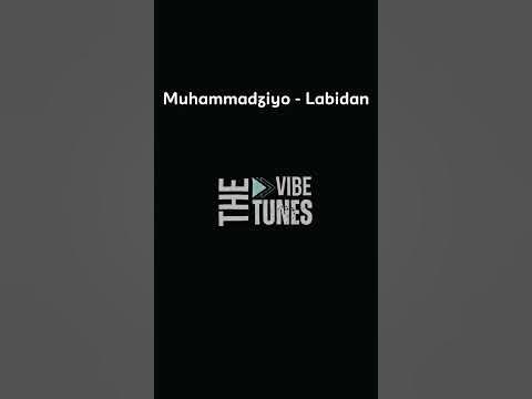 Muhammadziyo - Labidan - YouTube