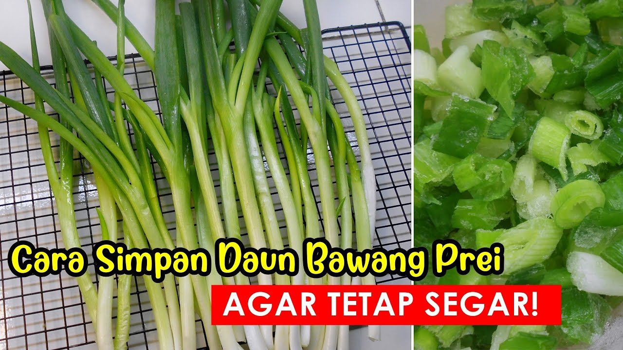 Cara Simpan Daun Bawang Agar Tahan Lama Carl King