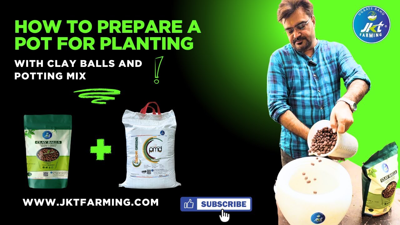 How to Prepare a Pot for Planting | Clay Balls + Potting Mix | JKT ...