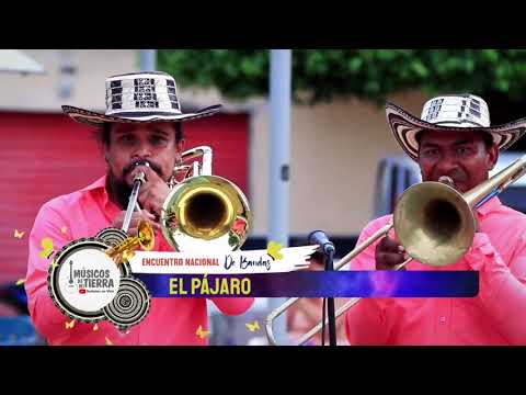 El Pájaro - Banda 20 de Diciembre de Cotorra