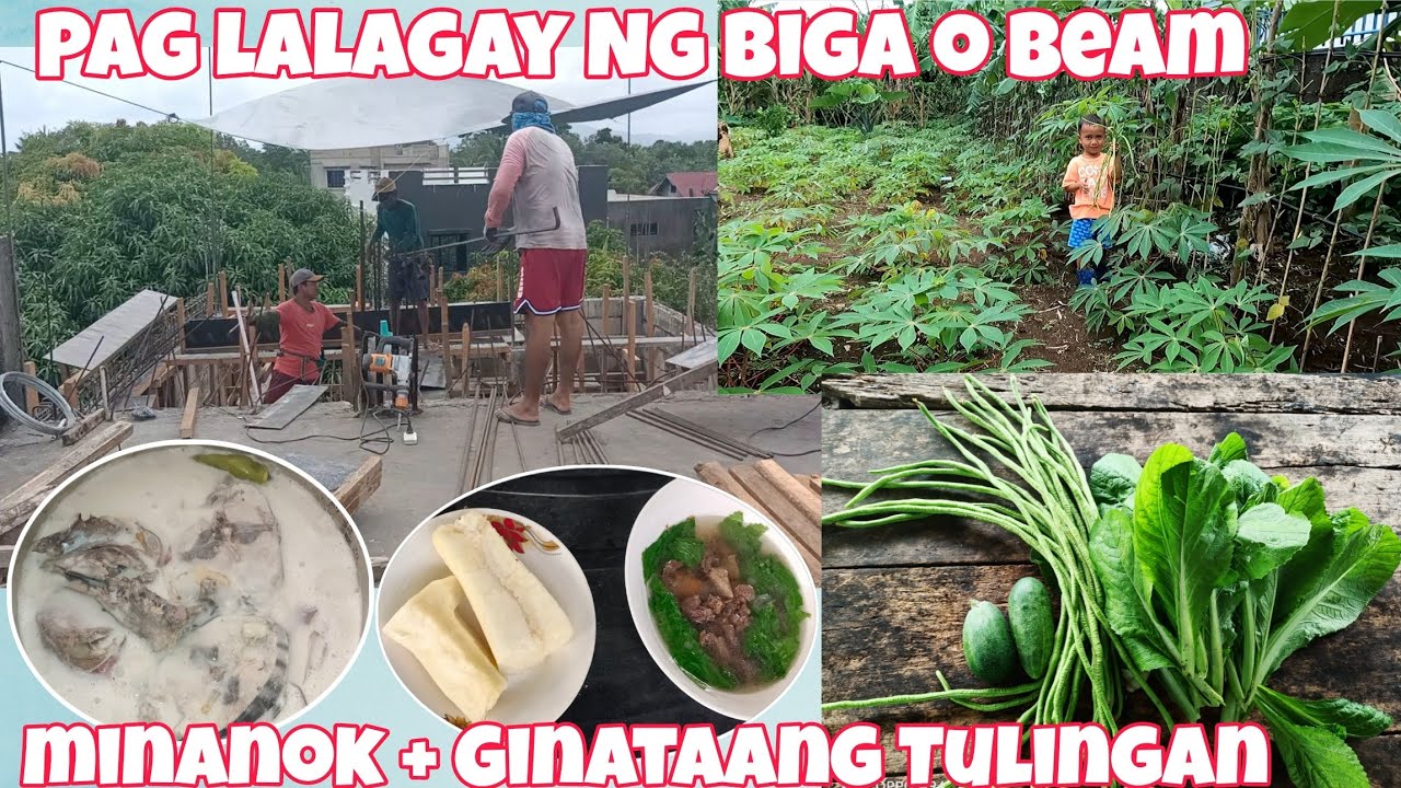 Update sa Bahay at Taniman/Paglalagay Ng Biga(Beam)/Ginataang Tulingan ...