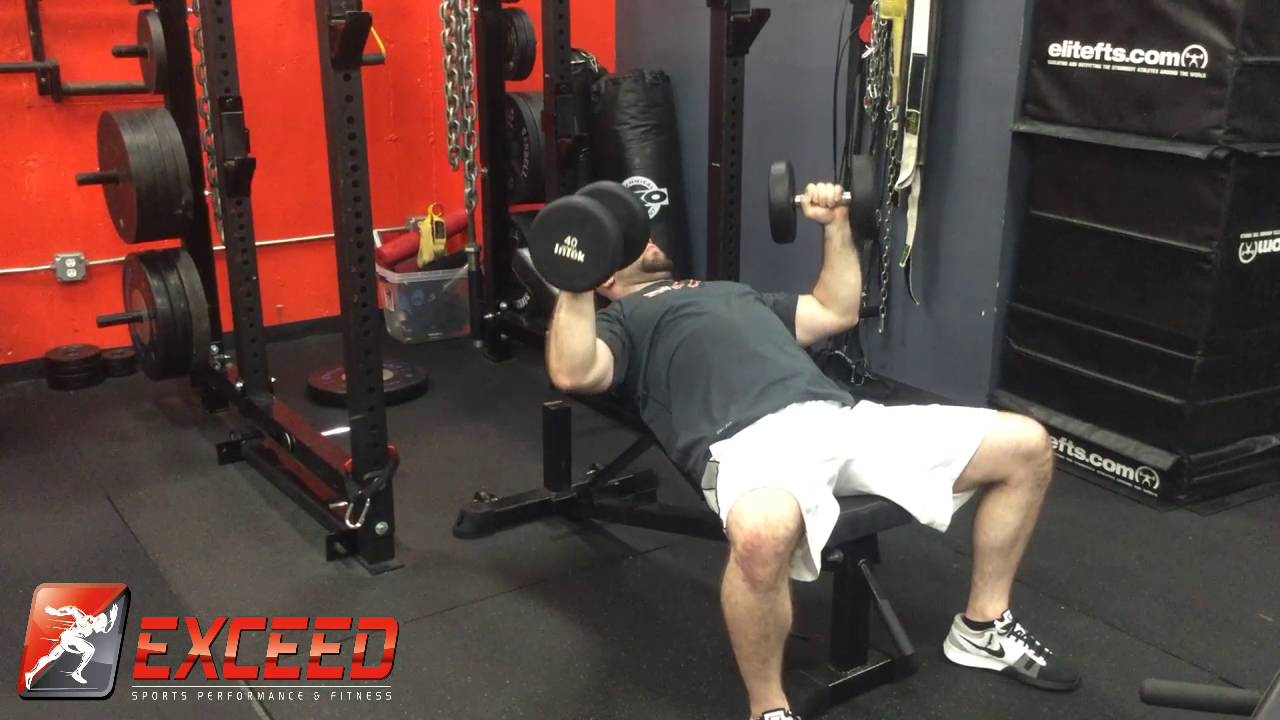 INCLINE DB BENCH PRESS - Eccentric - YouTube