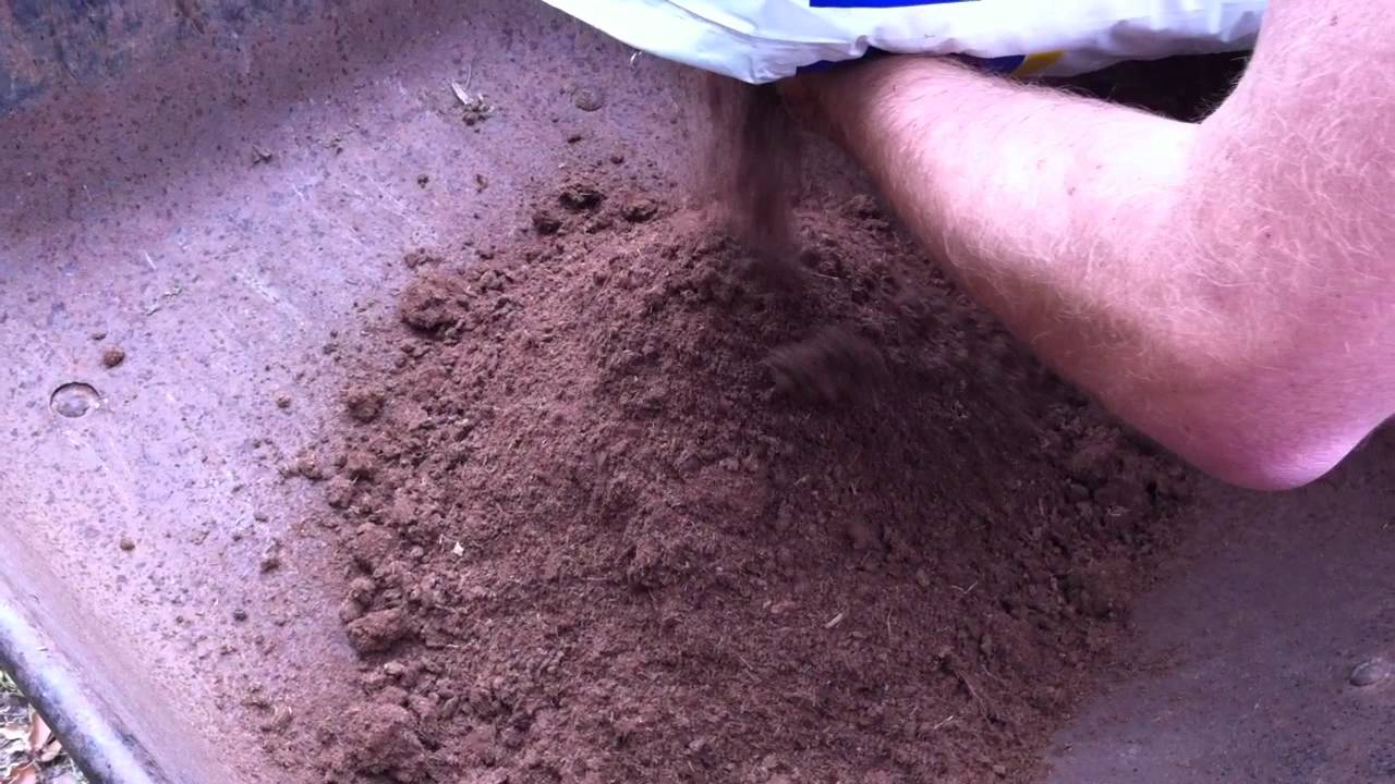 DIY Worm Bin Part 1: Mixing the Bedding, Peat Moss & Leaves - YouTube