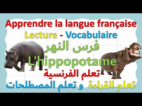 Apprendre la langue française lecture et vocabulaire L’hippopotame تعلم ...