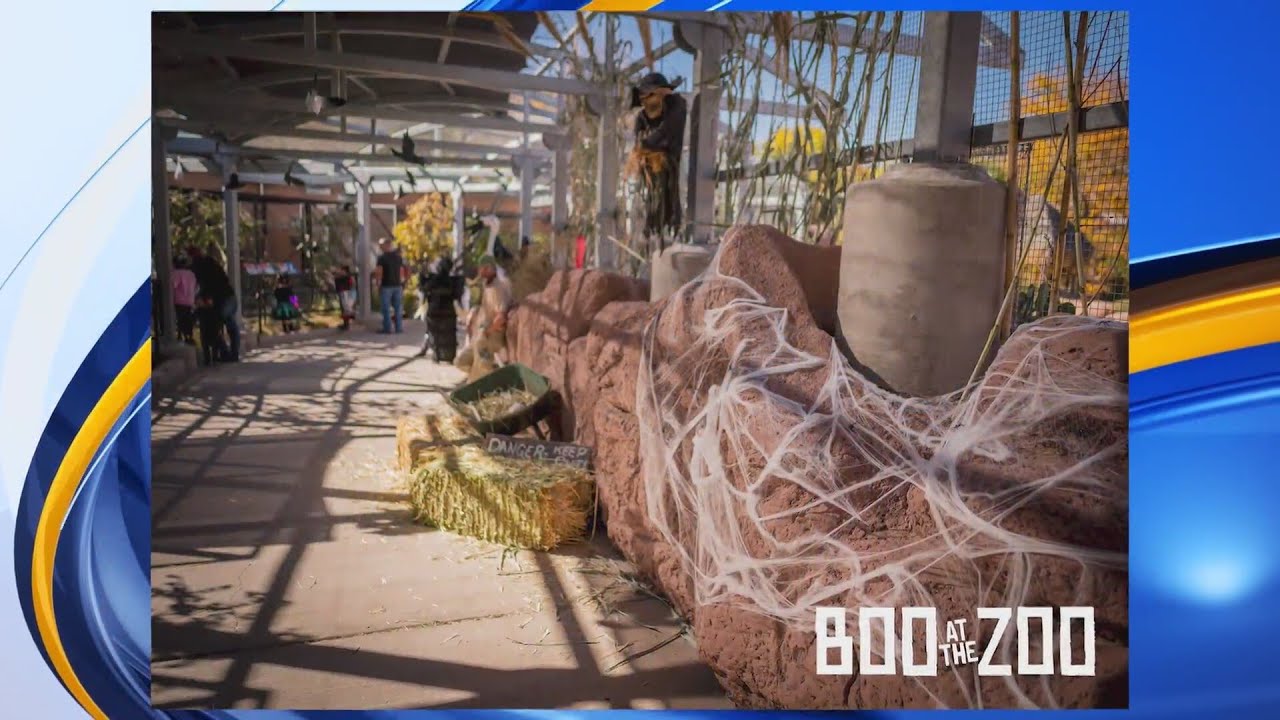 Boo at the Zoo returns to the ABQ BioPark Zoo - YouTube