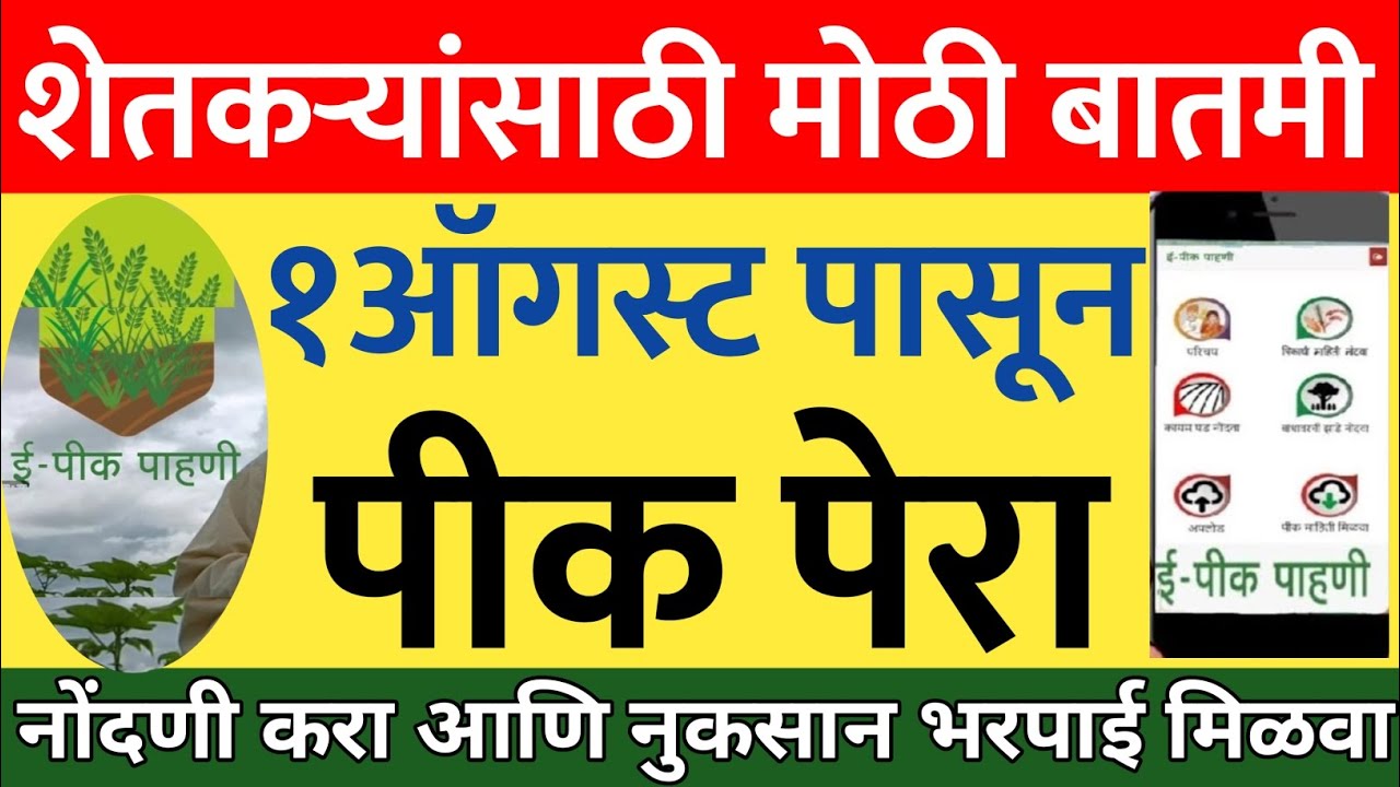 विम्याची भरपाई हवी तर करा पीकपेरा नोंदणी | 1 ऑगस्टपासून| Pik Pera ...