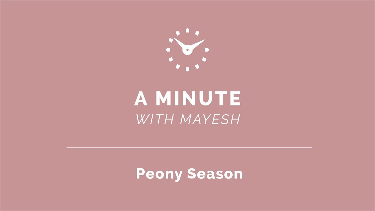A Minute With Mayesh - Peony Season - YouTube