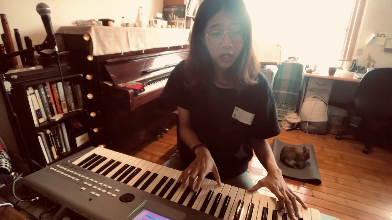 Alexander Hamilton cover ( piano and rabbit) - YouTube