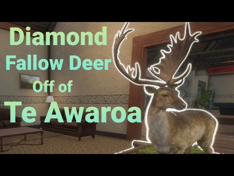 The Hunter Call of the Wild Diamond Fallow Deer - YouTube