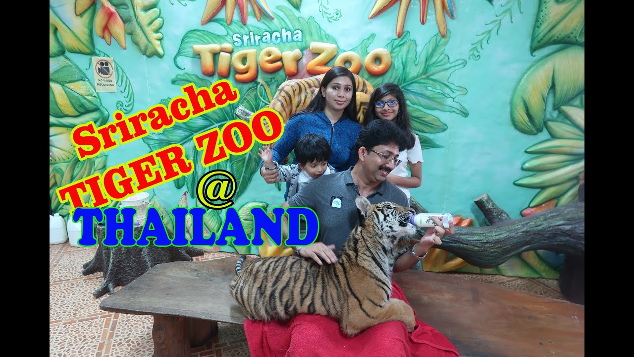 Sriracha Tiger Zoo Pattaya | The amazing Sriracha Tiger Zoo Thailand ...