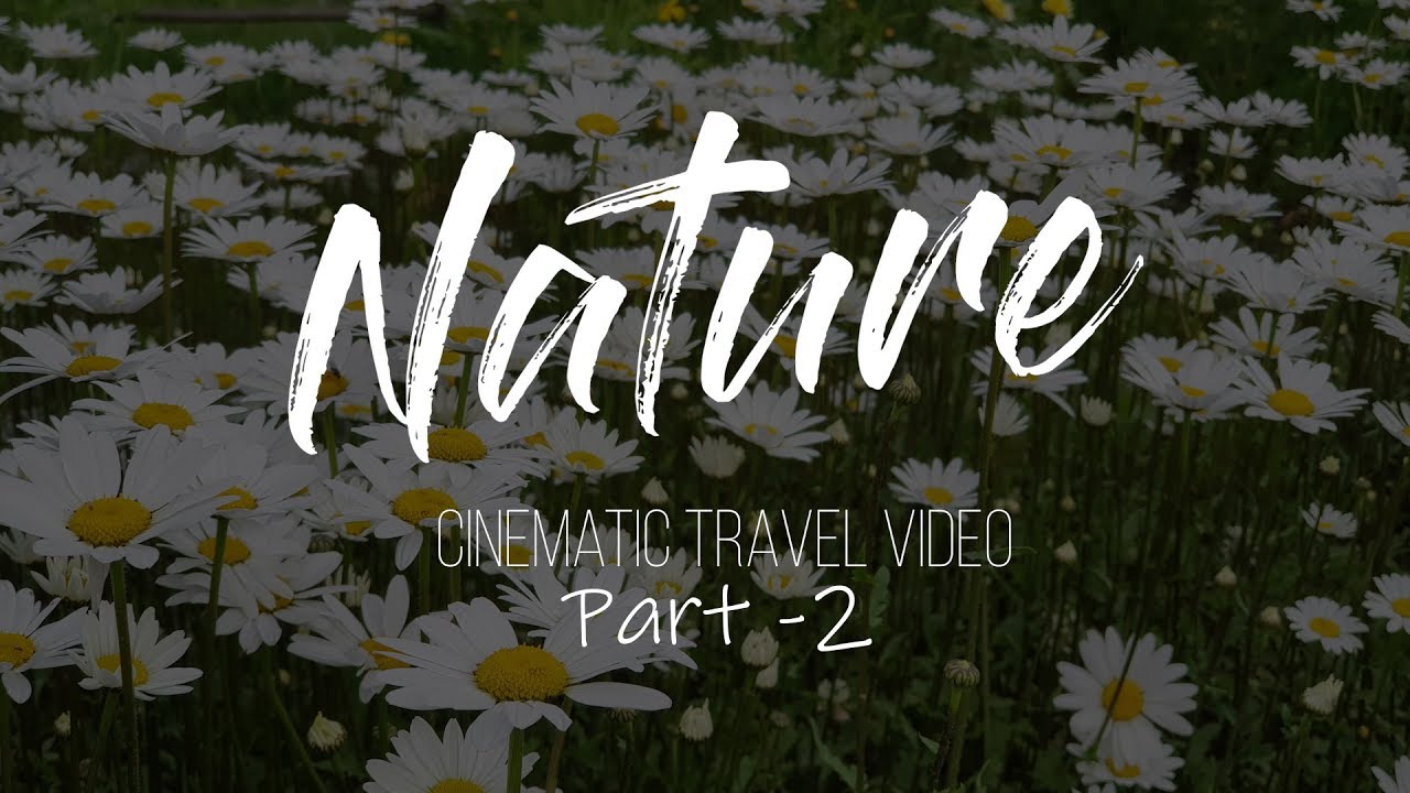 Nature | Cinematic Shot | Part 2 - YouTube