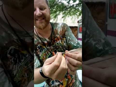 Camel thorns