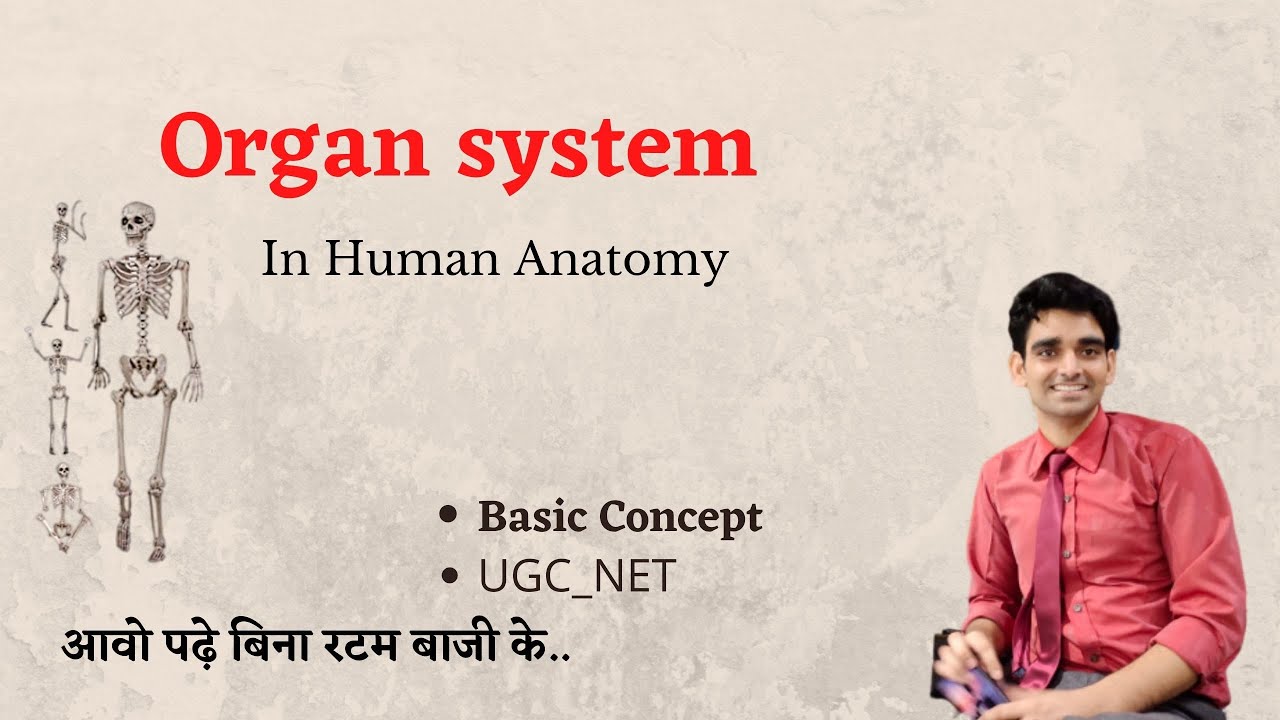 oragan system IN HUMAN ANATOMY CLASS biology - YouTube