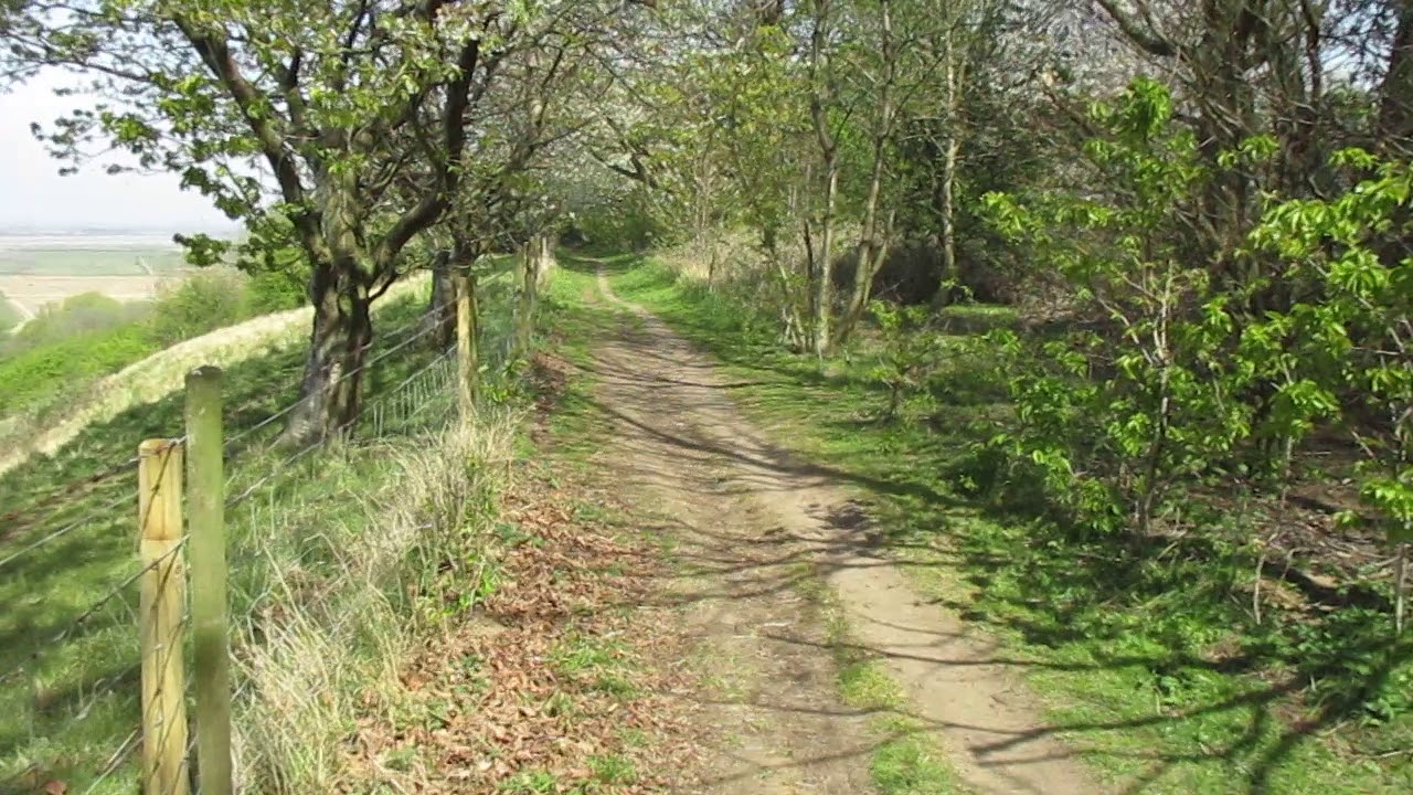 A sunny walk in the countryside - YouTube
