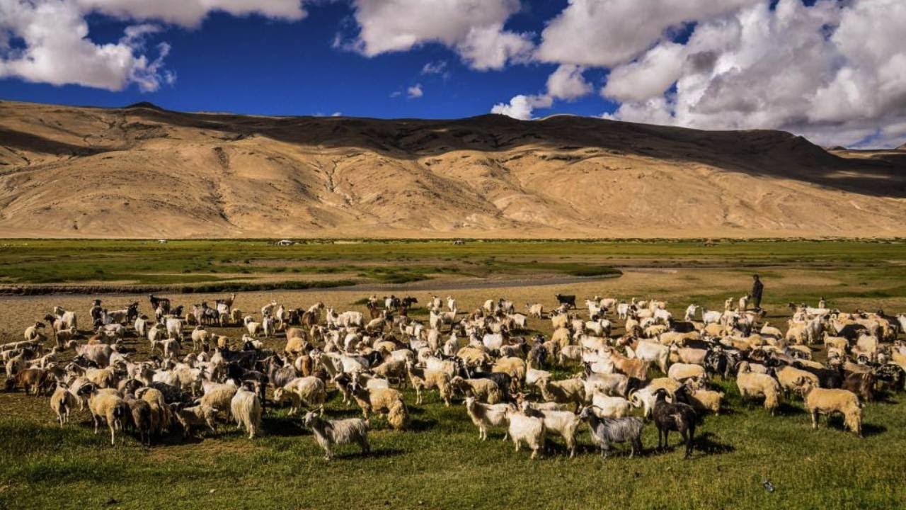 Farmland Utilization: How American Ranchers Use 778 Million Acres ...