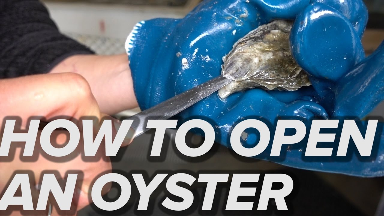 HOW TO OPEN AN OYSTER - YouTube