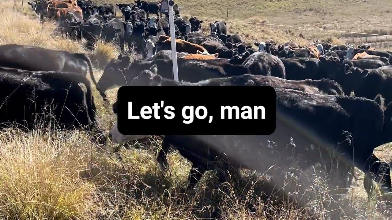 Let's Go, Man - YouTube