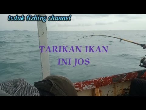 strike ikan donai@todak fishing channel - YouTube