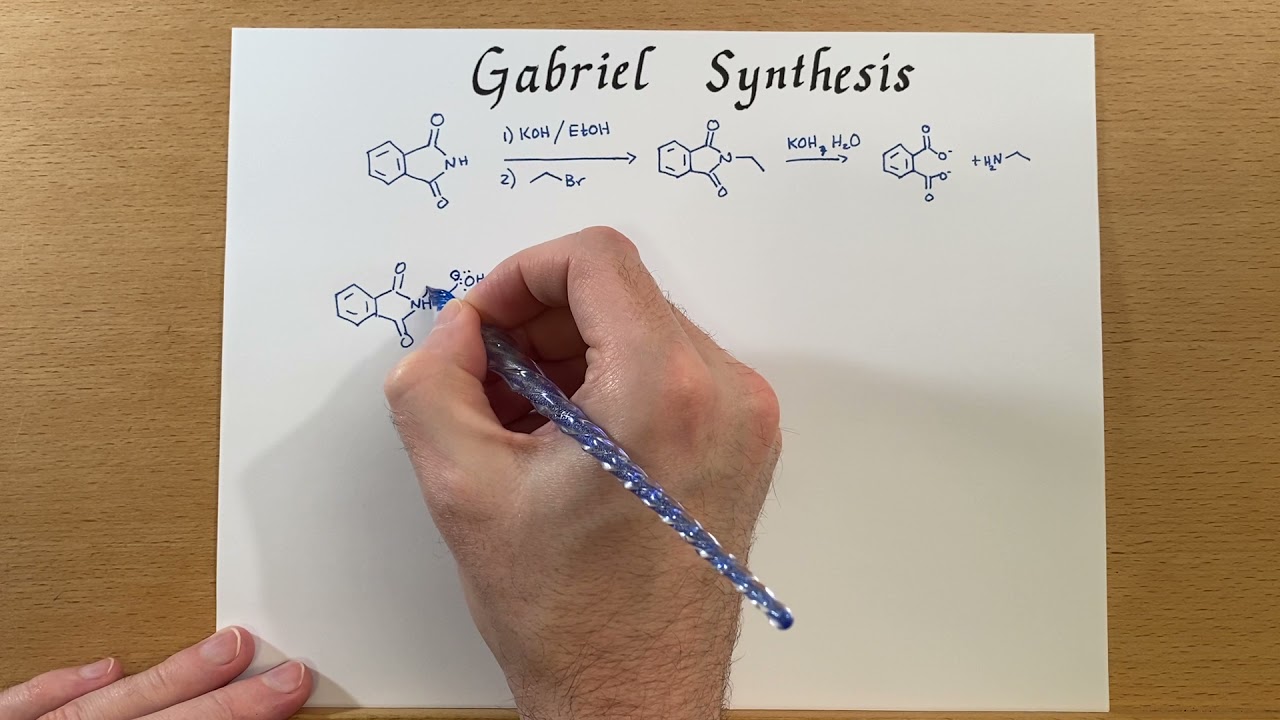 Gabriel Synthesis Phthalimides