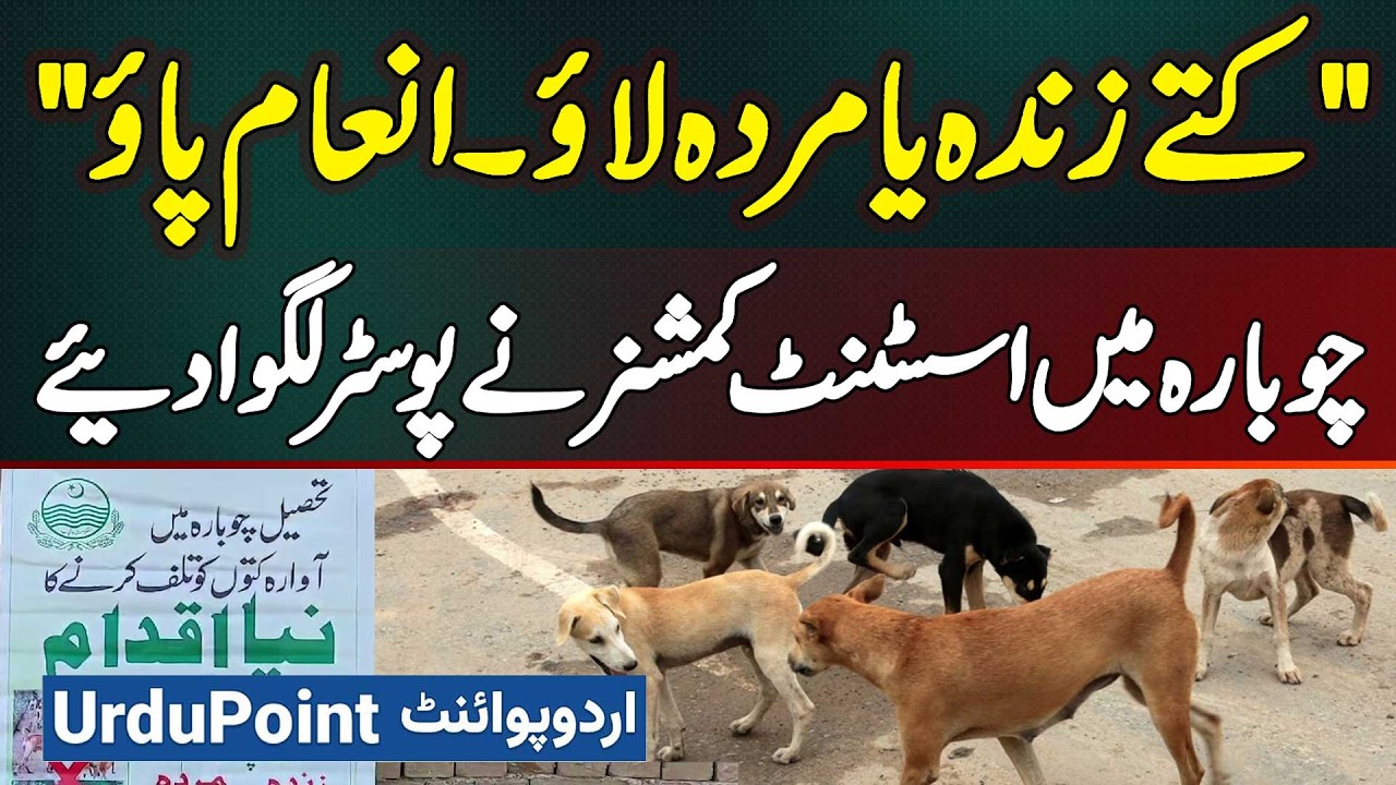 Assistant Commissioner Announces Rewards For Bringing Dogs Alive or ...