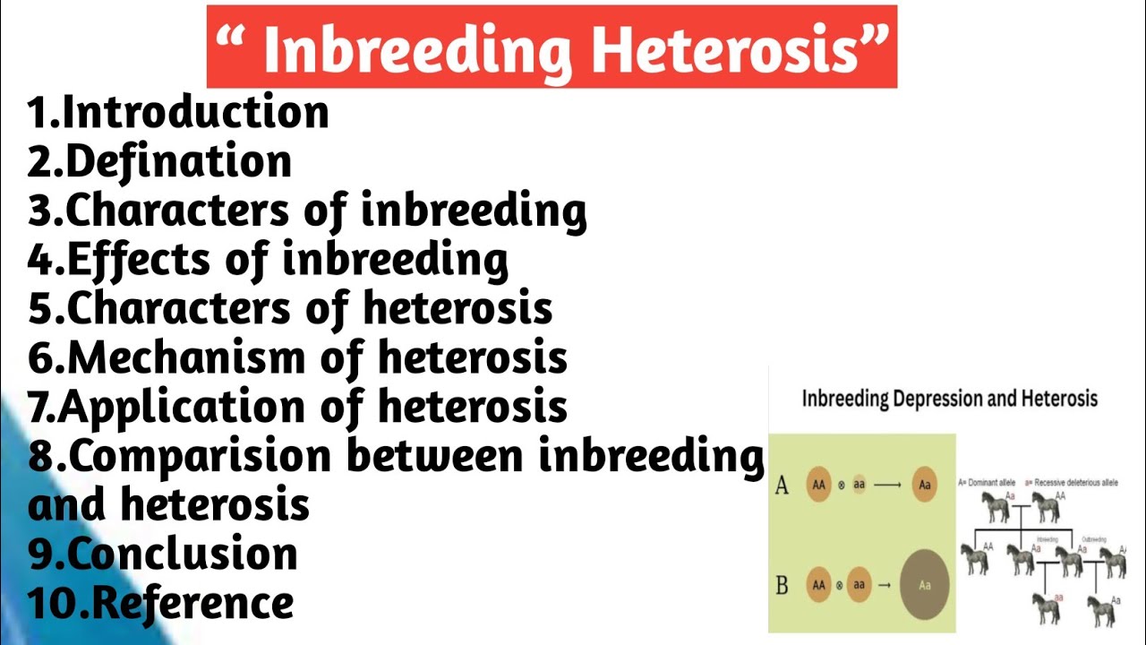 Inbreeding heterosis | Characteristics | Effects | Mechanism ...