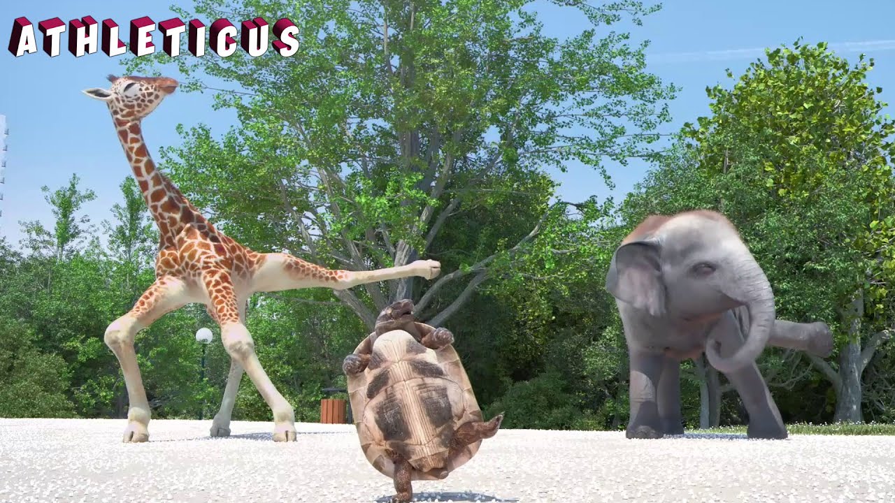 NEW The professor | Athleticus | Sport animals | Cartoon in English ...