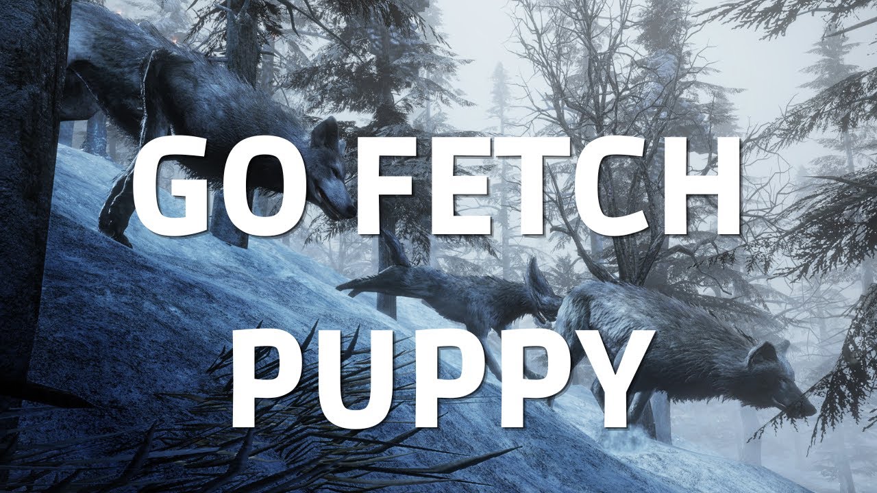 playing fetch with a ds3 wolf - YouTube