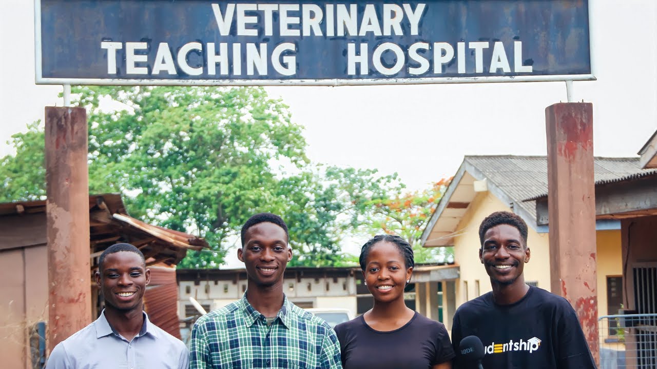 Why Veterinary Medicine is the Best Course to Study at the University ...