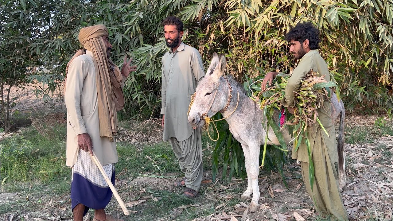 Saraiki funny video khoti di sawari na dukh na bemari 😂 - YouTube