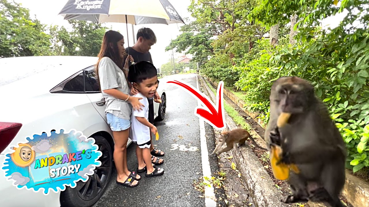 FEEDING WILD MONKEYS | ANDRAKE STORY - YouTube