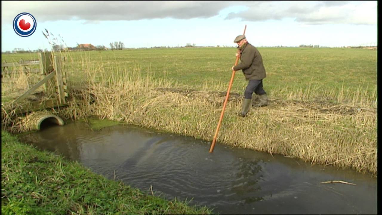 FSP: Friese taal van groot belang om echte Fries te zijn - YouTube